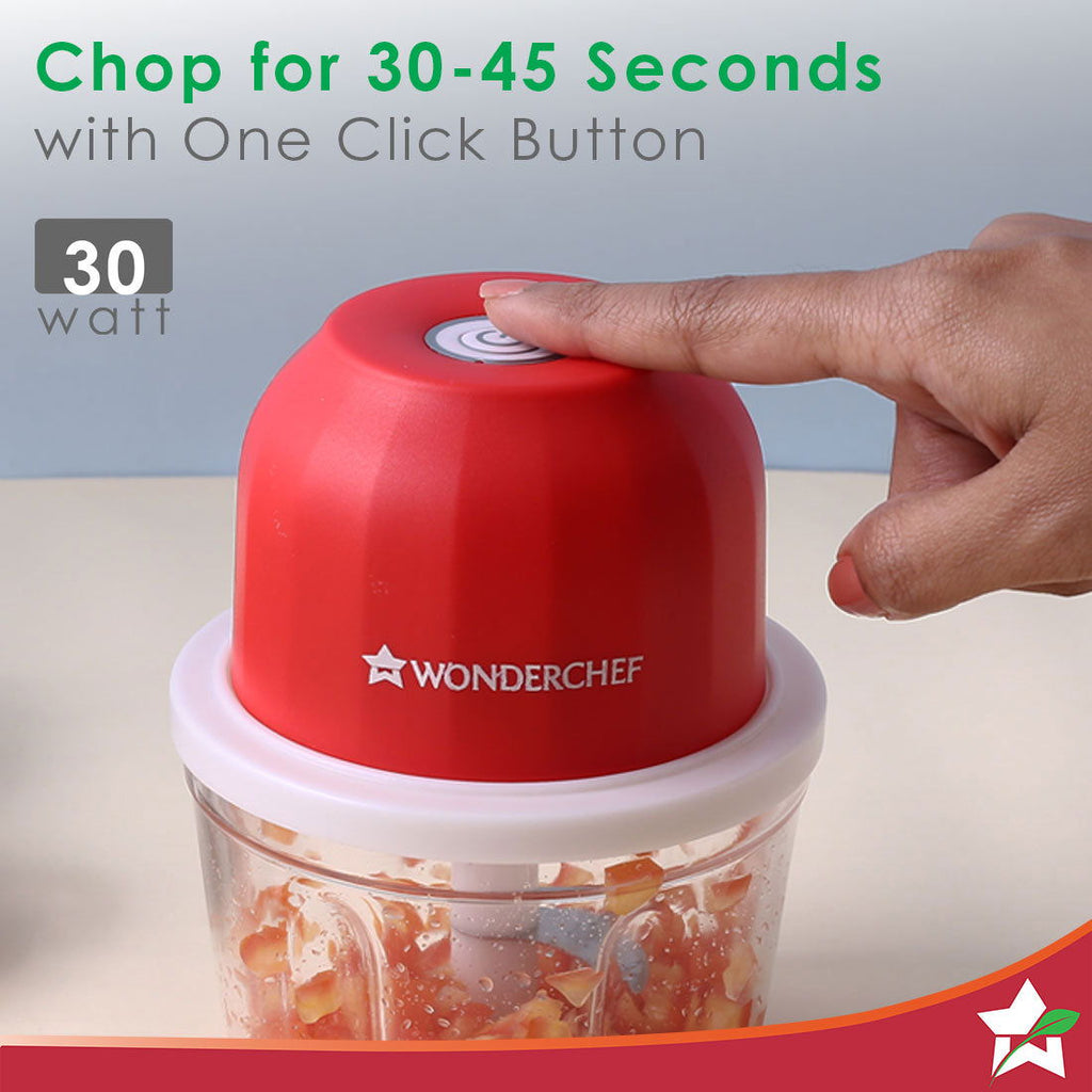Zippy Rechargeable Wireless Electric Cordless Chopper Stainless Steel Wonderchef India