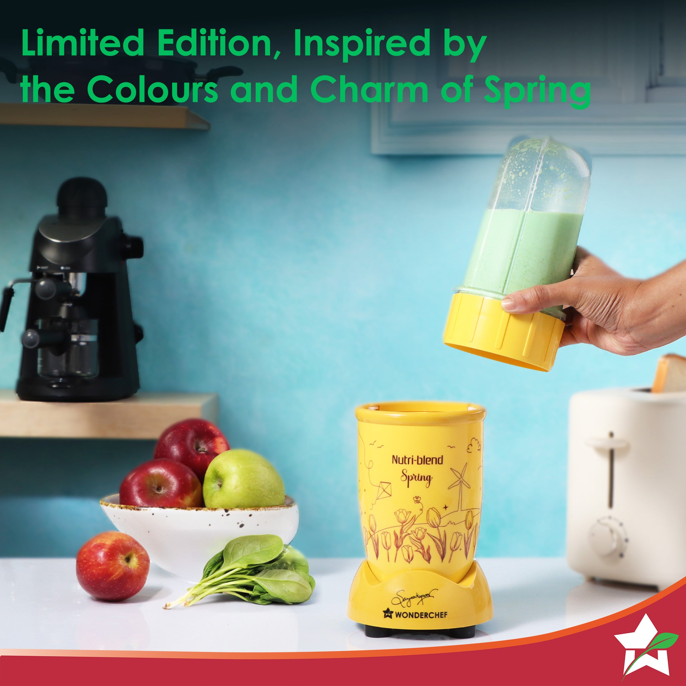 Nutri-blend Spring Mixer Grinder Blender & Smoothie Maker | 500W | 220 ...